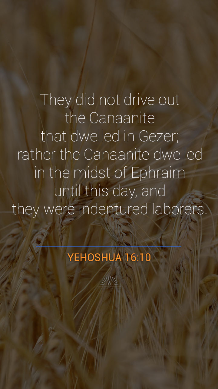 Joshua Chapter 16 | On Joseph's Territories | One Chapter A Day