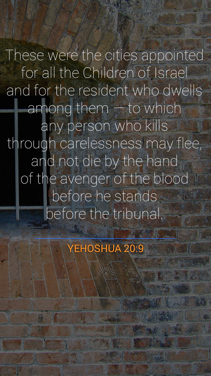JOSHUA Chapter 20 | Daily Holy Bible Reading