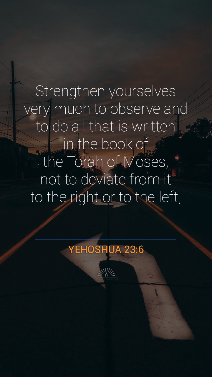 Joshua Chapter 23 | Suspected Rebellion | One Chapter A Day