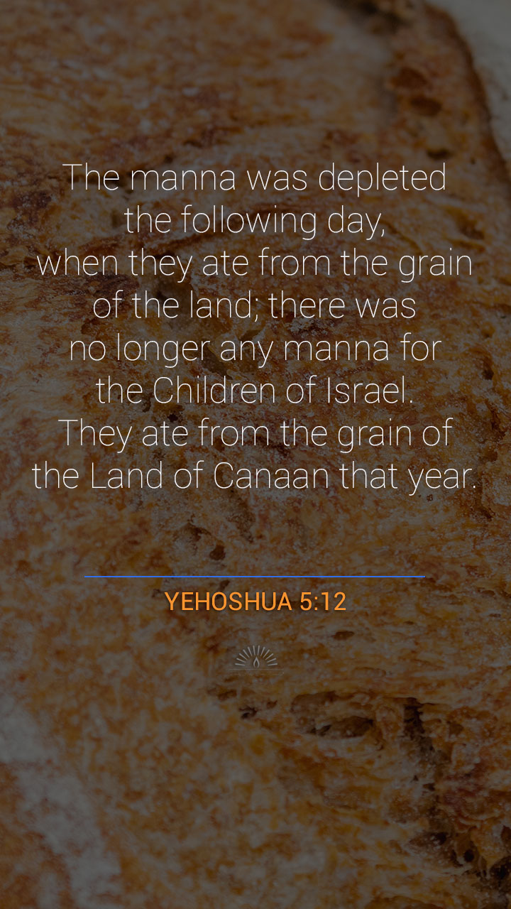 Joshua Chapter 5 | One Chapter A Day