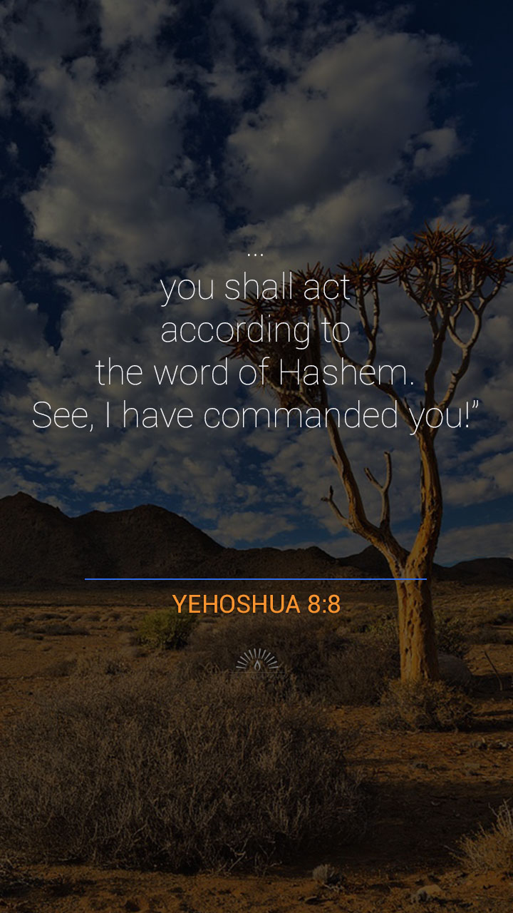 Joshua Chapter 8 | One Chapter A Day