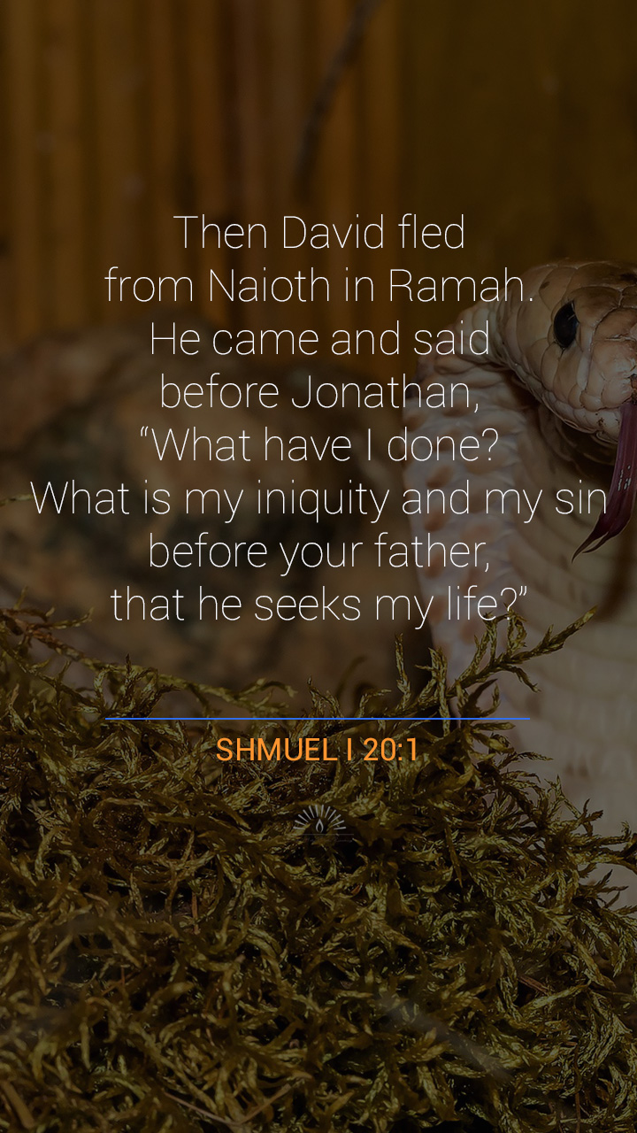 I Samuel Chapter 20 | Saul's Anger Gets | One Chapter A Day