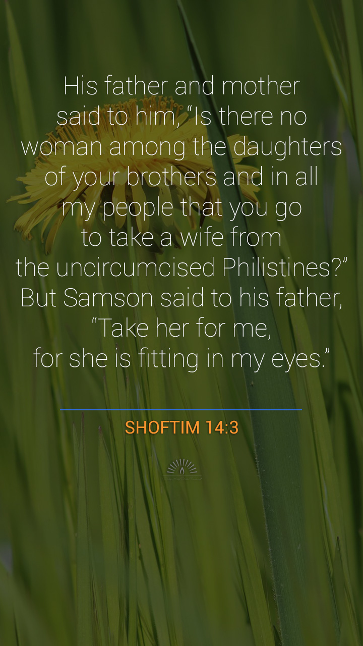 Judges Chapter 14 | Samson is Born | One Chapter A Day