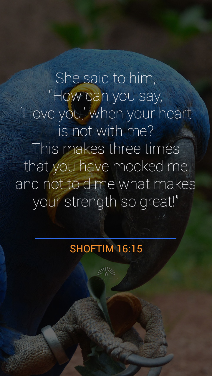 JUDGES Chapter 16 | Daily Holy Bible Reading