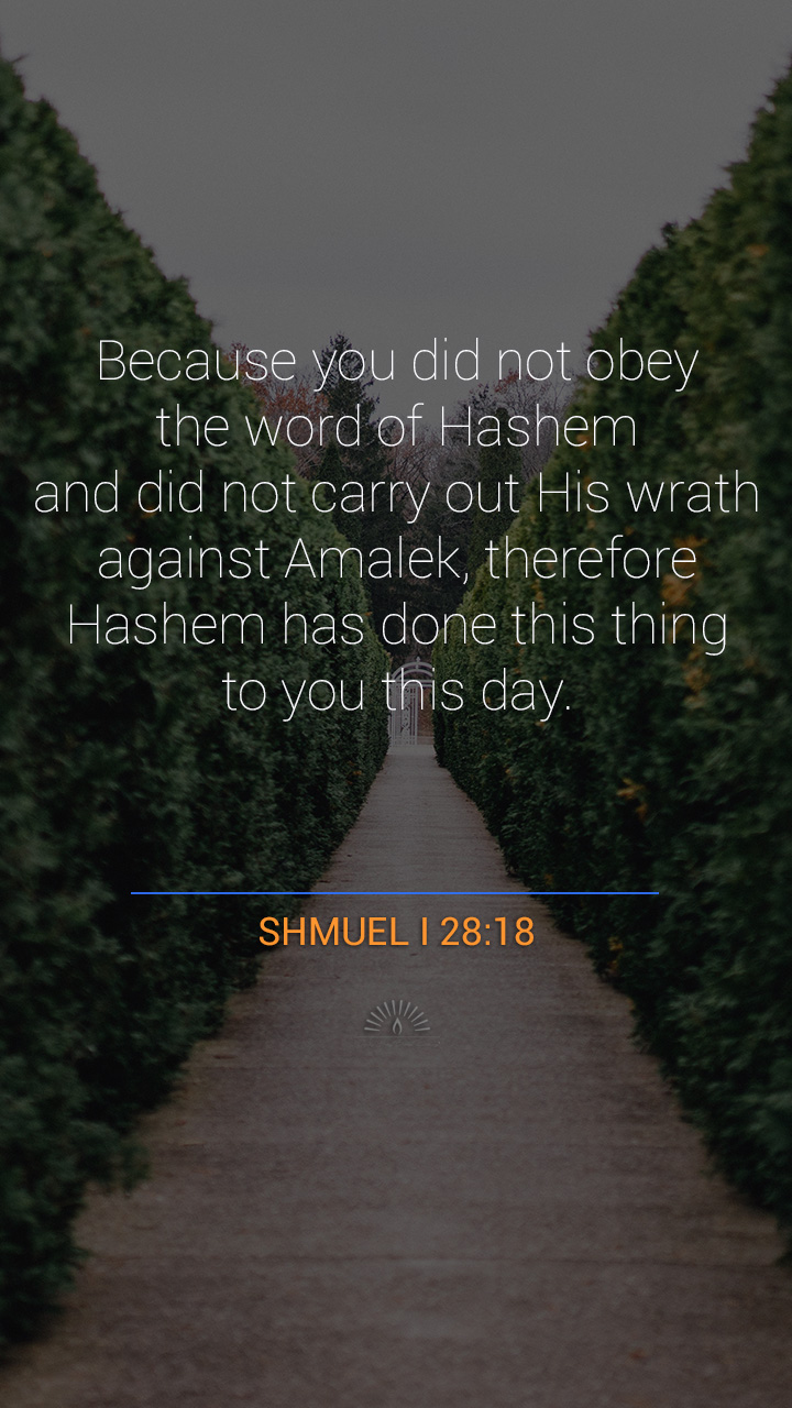 I Samuel Chapter 28 | Samuel is Called from His Death by Saul | One ...