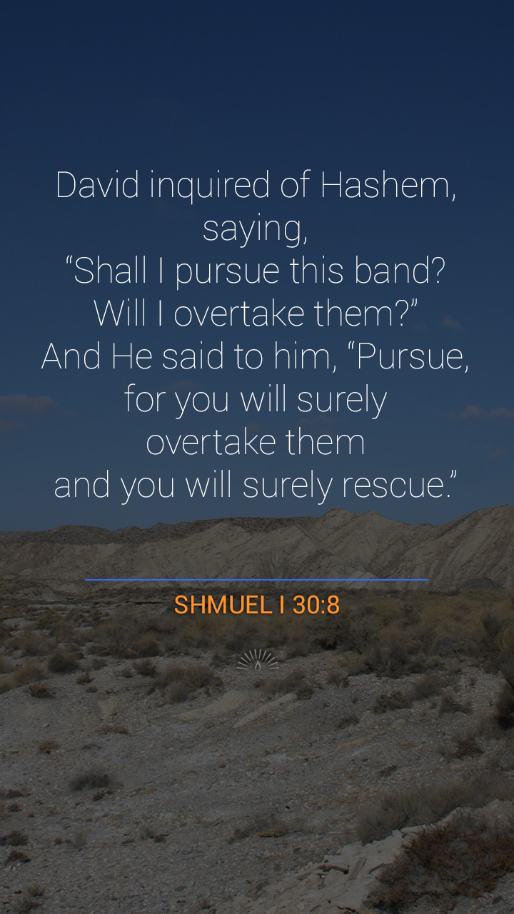 1 SAMUEL Chapter 30 | Daily Holy Bible Reading