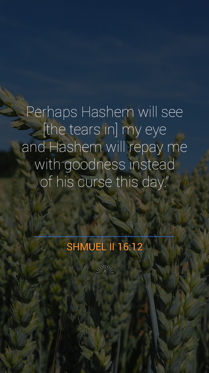 II Samuel Chapter 16 | David Going to Exile and Humiliation | One ...