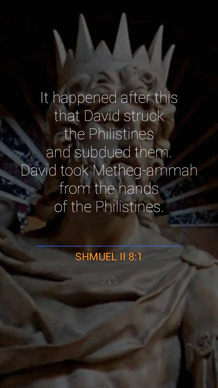 II SAMUEL Chapter 8 | Daily Holy Bible Reading