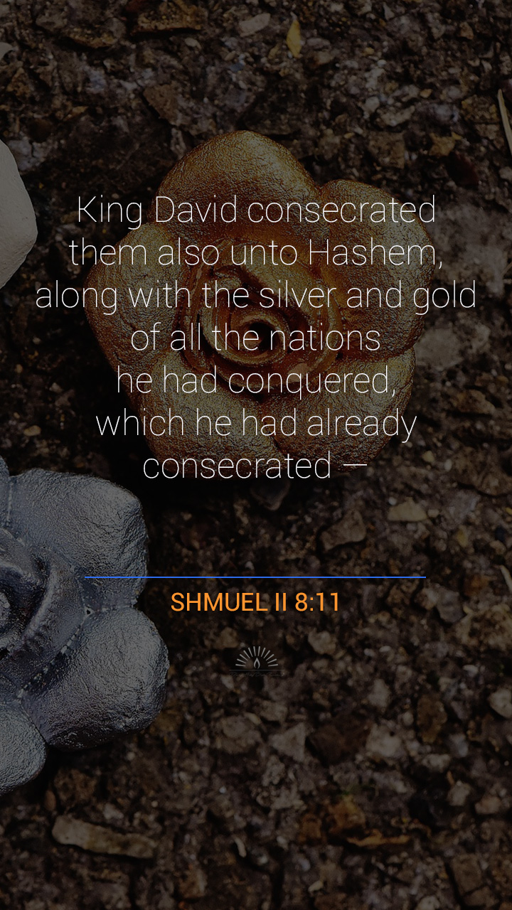 II SAMUEL Chapter 8 | Daily Holy Bible Reading
