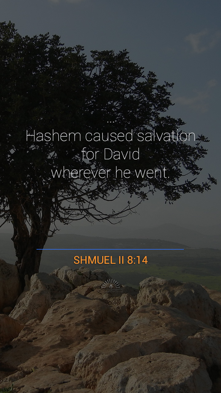 II SAMUEL Chapter 8 | Daily Holy Bible Reading