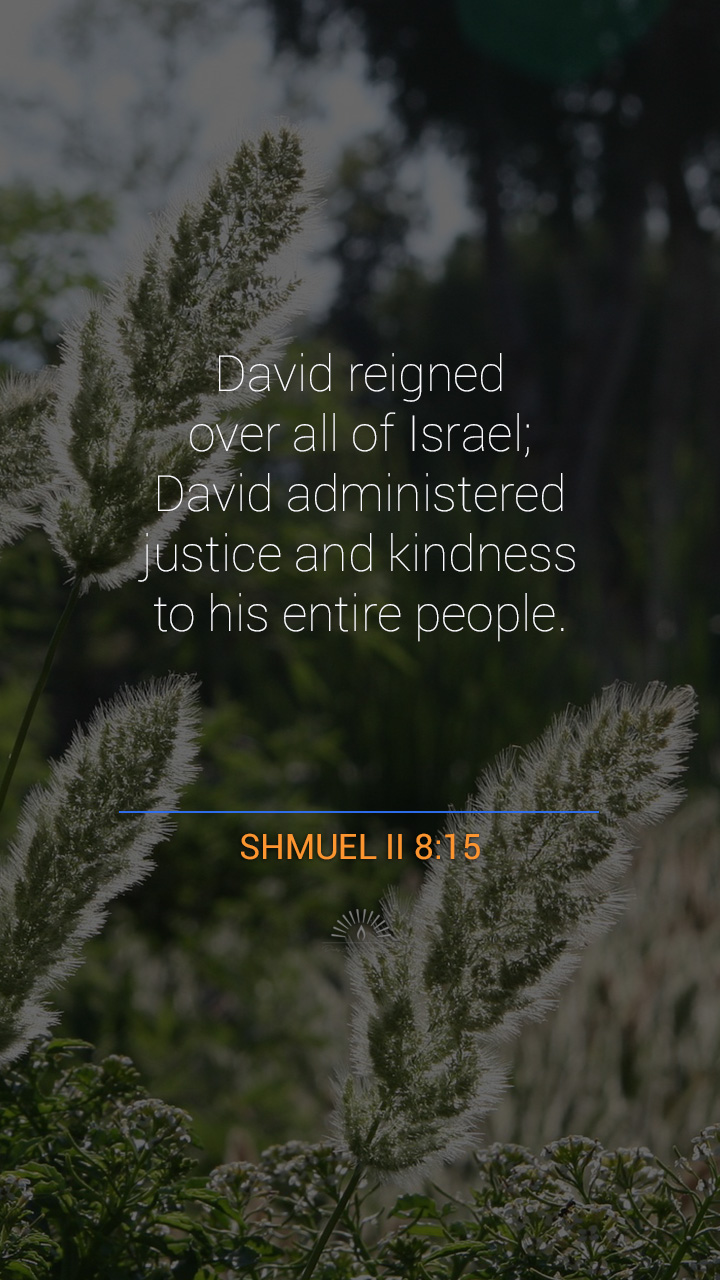 II SAMUEL Chapter 8 | Daily Holy Bible Reading