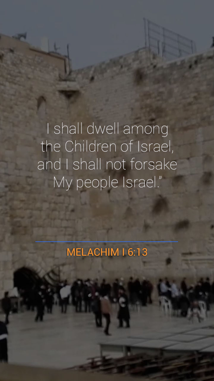 I Kings Chapter 6 | I Kings on the Building | One Chapter A Day