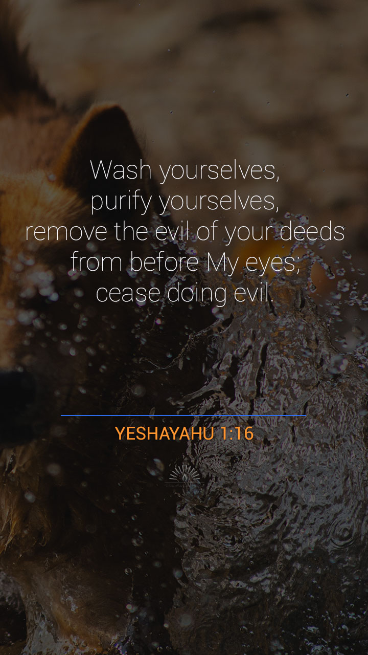 Isaiah Chapter 1 | Isaiah Begins by Exposing Sin | One Chapter A Day