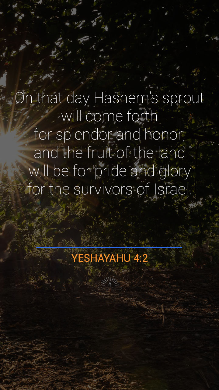 Isaiah Chapter 4 | Isaiah on Time of the Messiah | One Chapter A Day