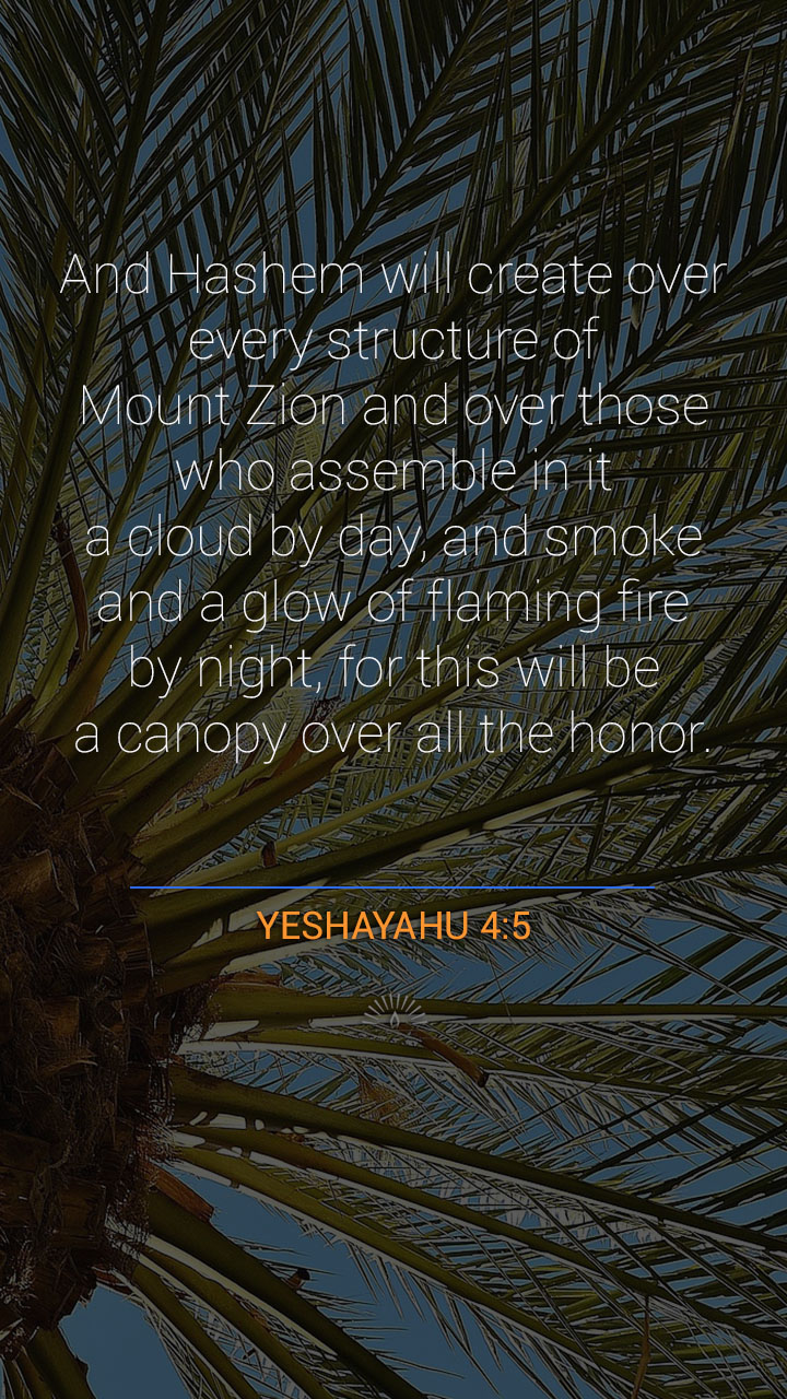 Isaiah Chapter 4 | Daily Holy Bible Reading