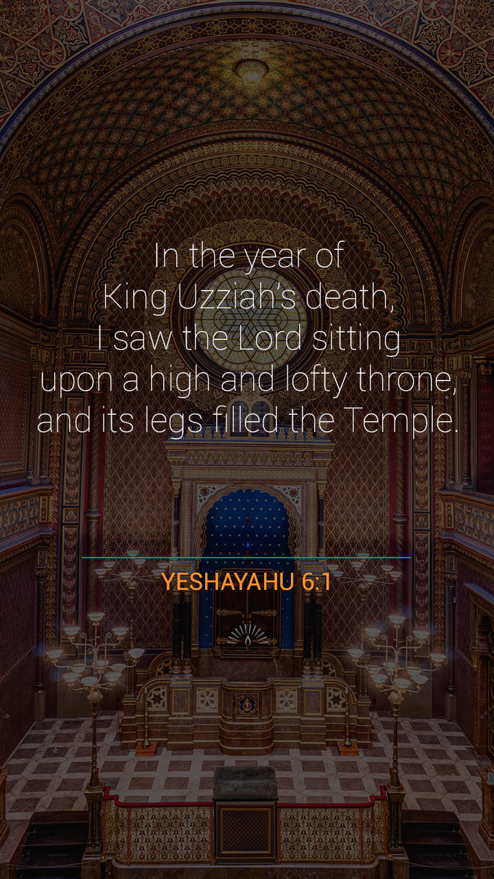 Isaiah Chapter 6 | Isaiah Sees No Jesus | One Chapter A Day