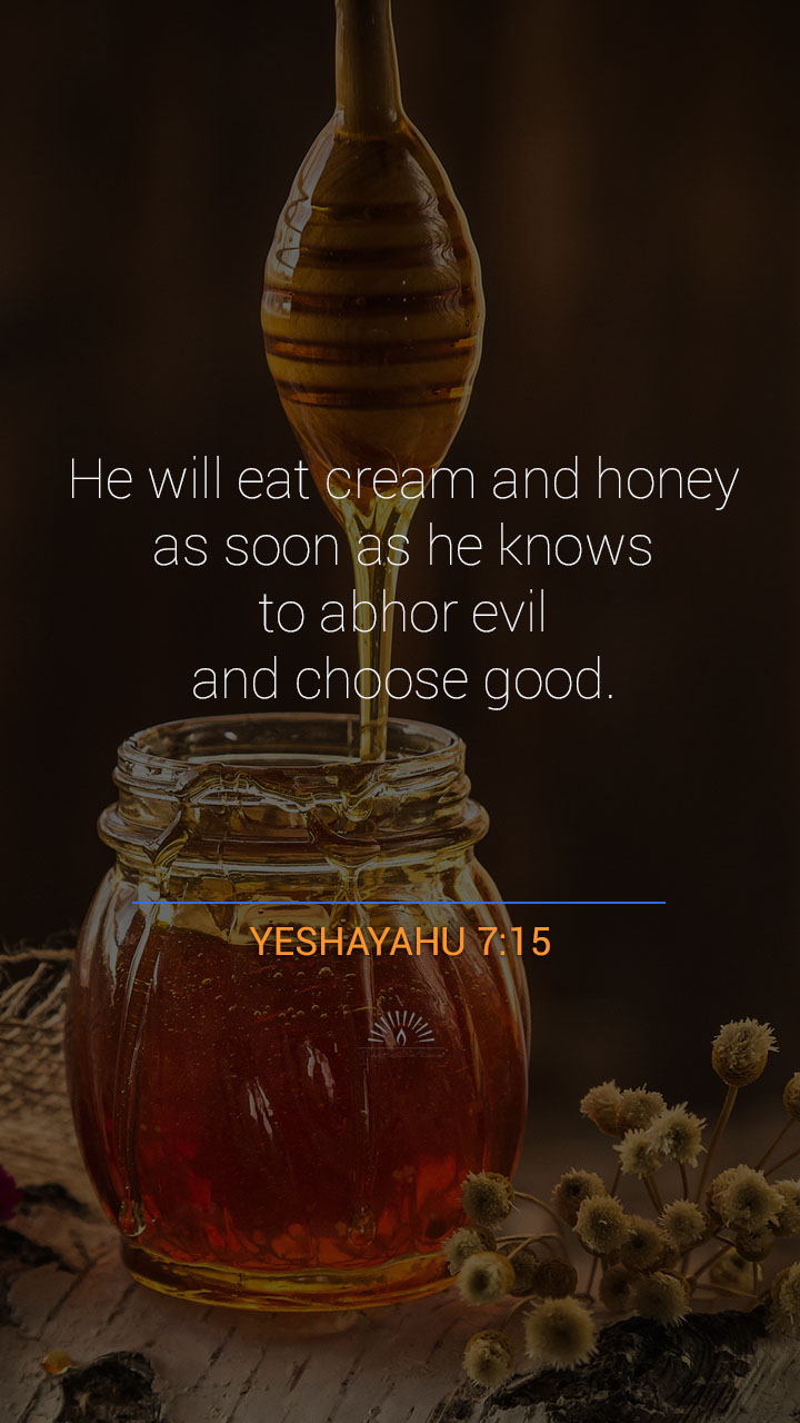 Isaiah Chapter 7 | Daily Holy Bible Reading