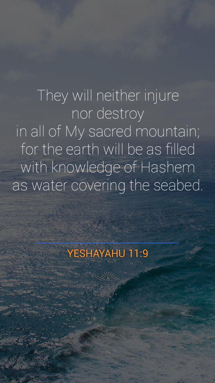 Isaiah Chapter 11 | Daily Holy Bible Reading