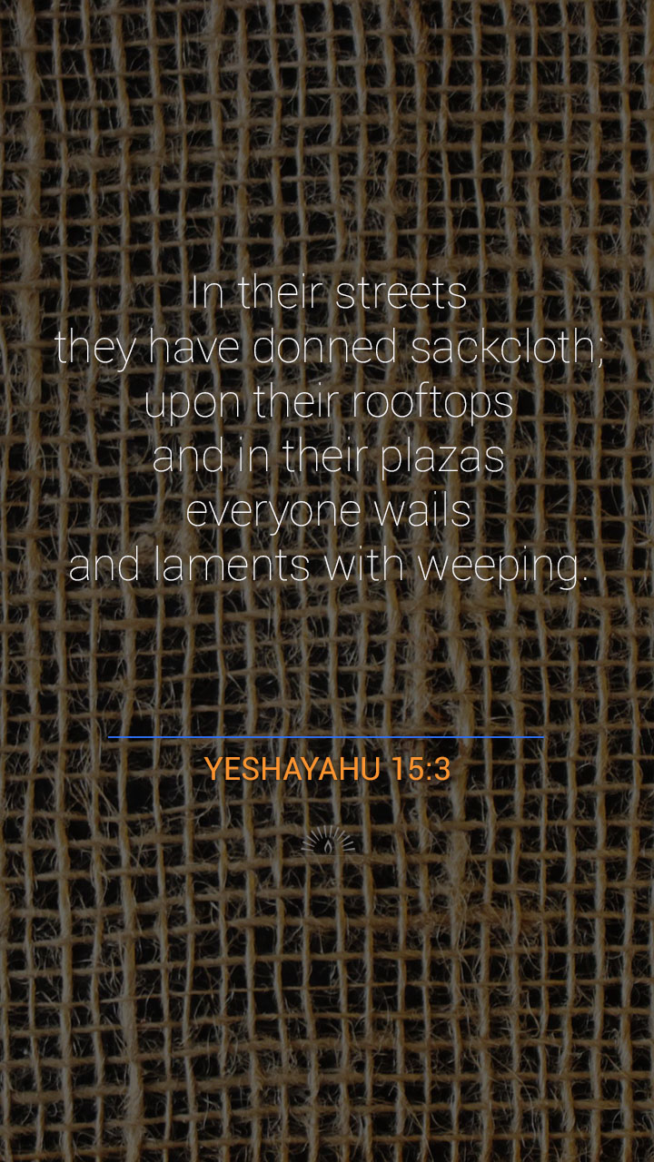 Isaiah Chapter 15 | Isaiah When You Think | One Chapter A Day