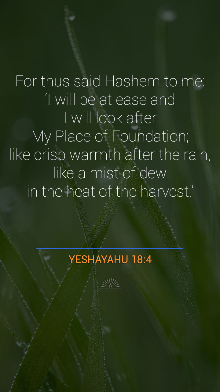 Isaiah Chapter 18 | Daily Holy Bible Reading