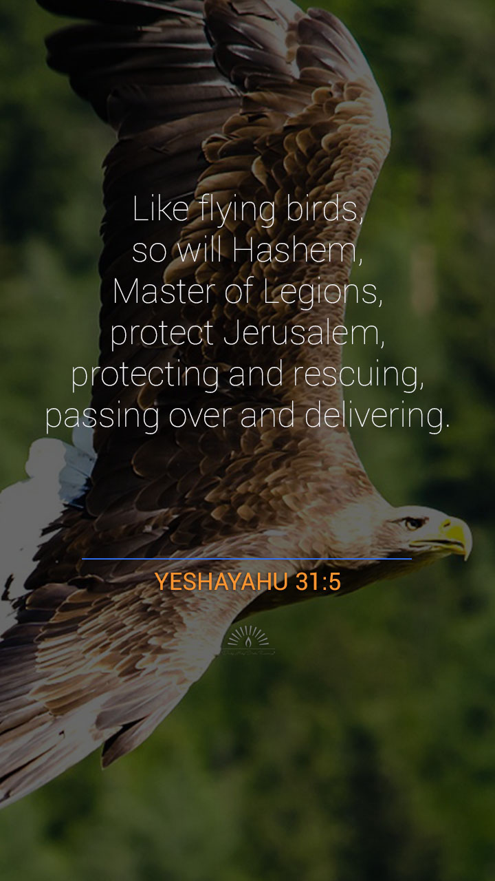 Isaiah Chapter 31 | Daily Holy Bible Reading