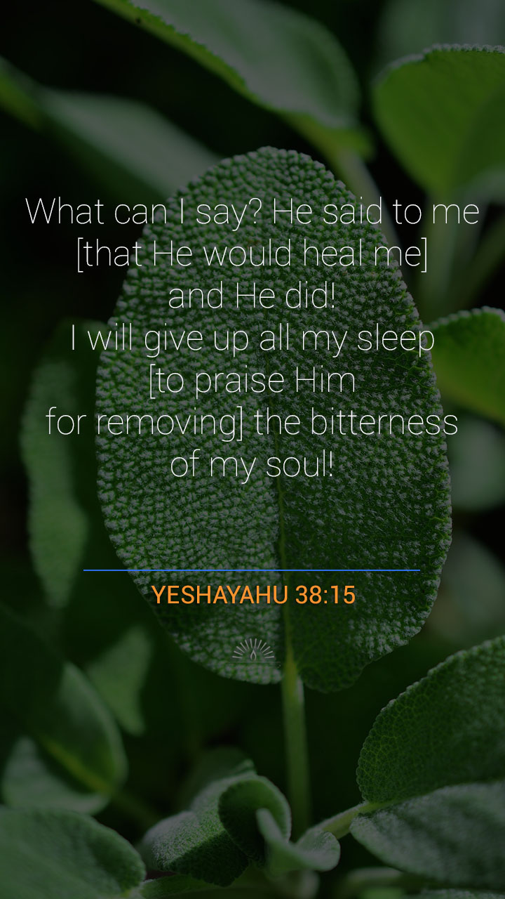 Isaiah Chapter 38 | Daily Holy Bible Reading