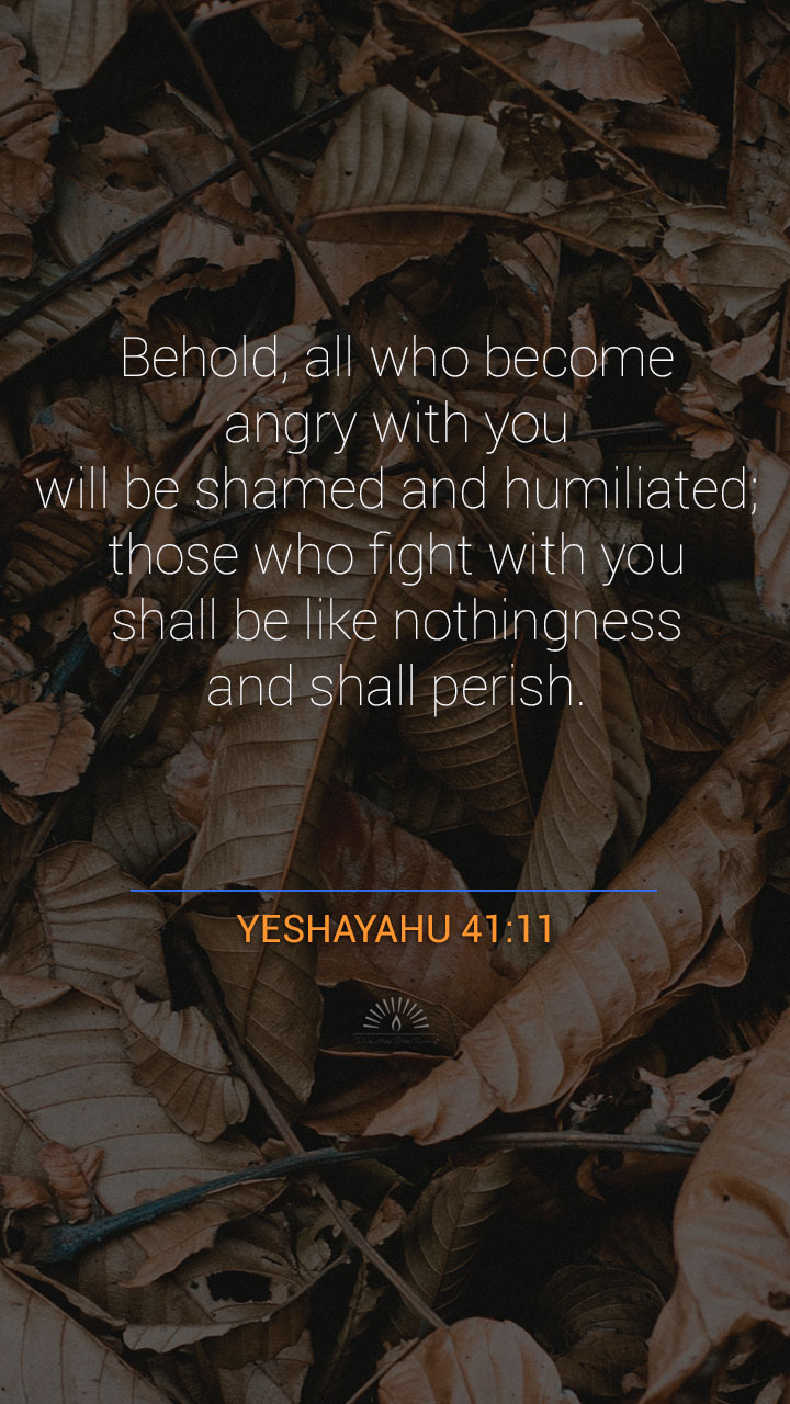 Isaiah Chapter 41 | Daily Holy Bible Reading