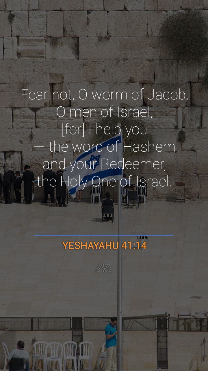 Isaiah Chapter 41 | Daily Holy Bible Reading