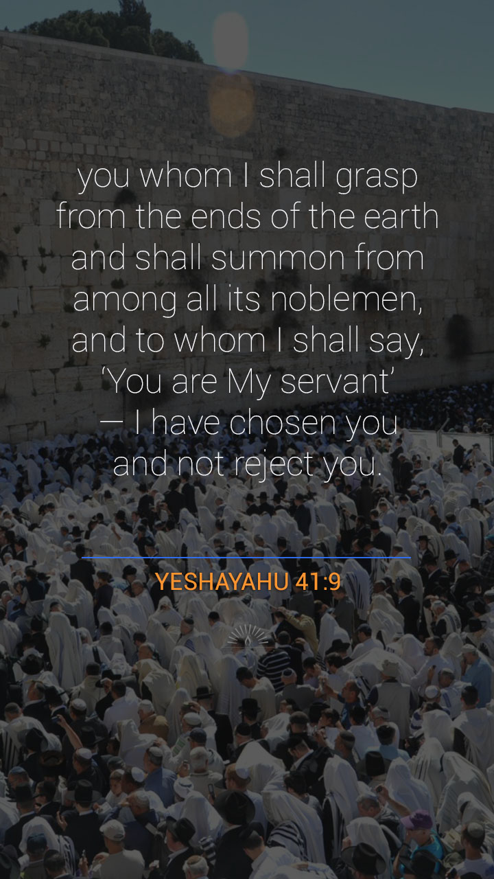 Isaiah Chapter 41 | Daily Holy Bible Reading