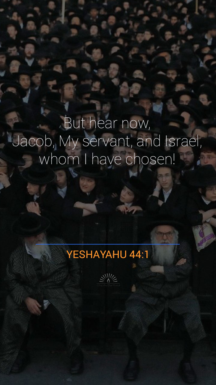 Isaiah Chapter 44 | Daily Holy Bible Reading