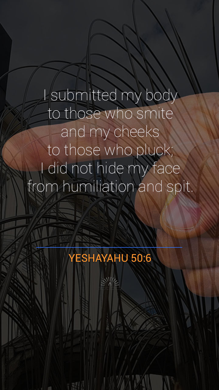 Isaiah Chapter 50 | Daily Holy Bible Reading