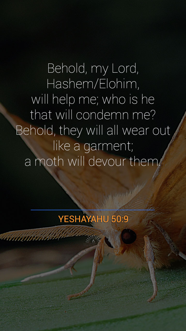 Isaiah Chapter 50 | Daily Holy Bible Reading