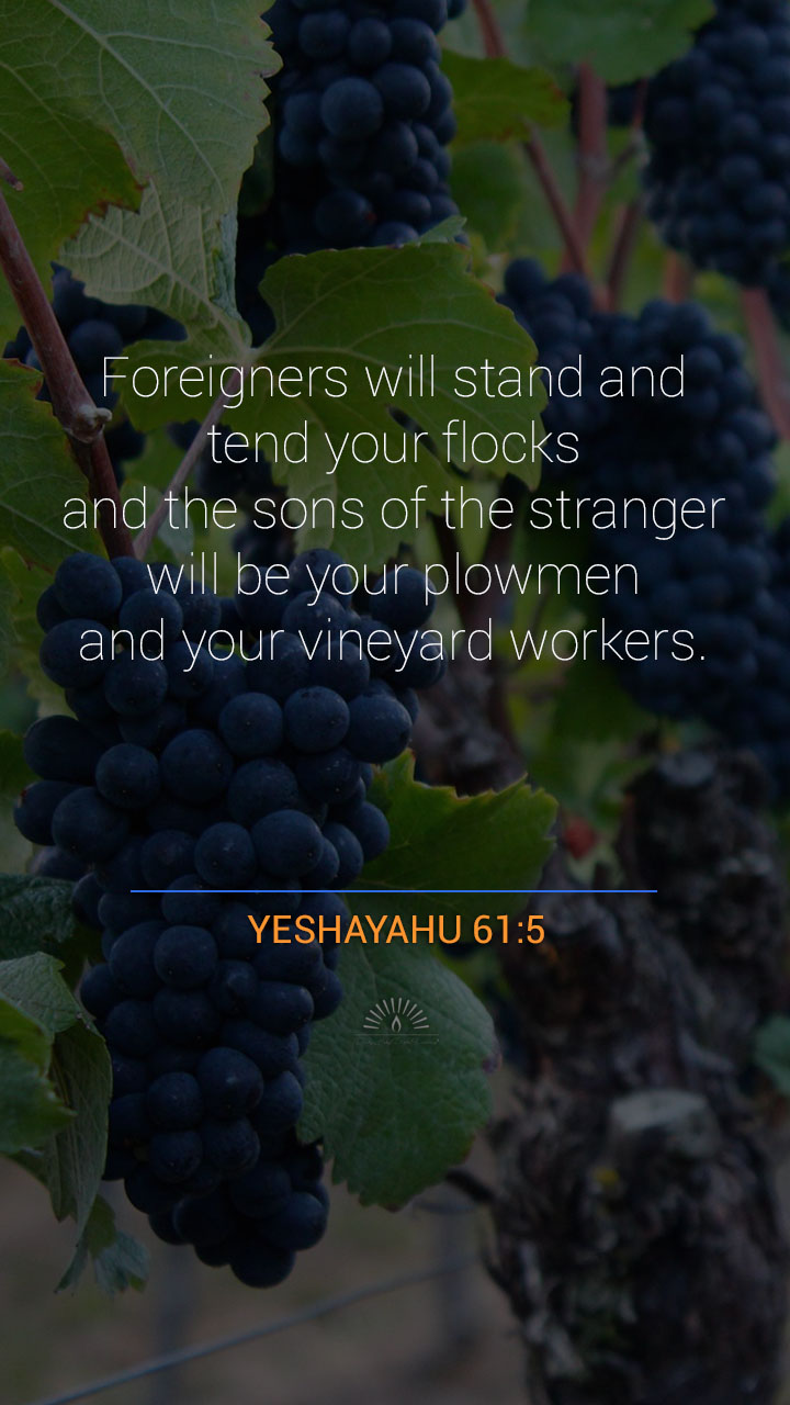 Isaiah Chapter 61 | Daily Holy Bible Reading