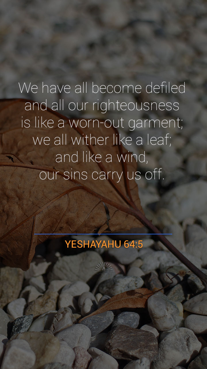 Isaiah Chapter 64 | Isaiah nearing its final | One Chapter A Day