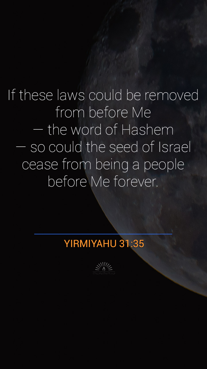 Jeremiah Chapter 31 | Daily Holy Bible Reading