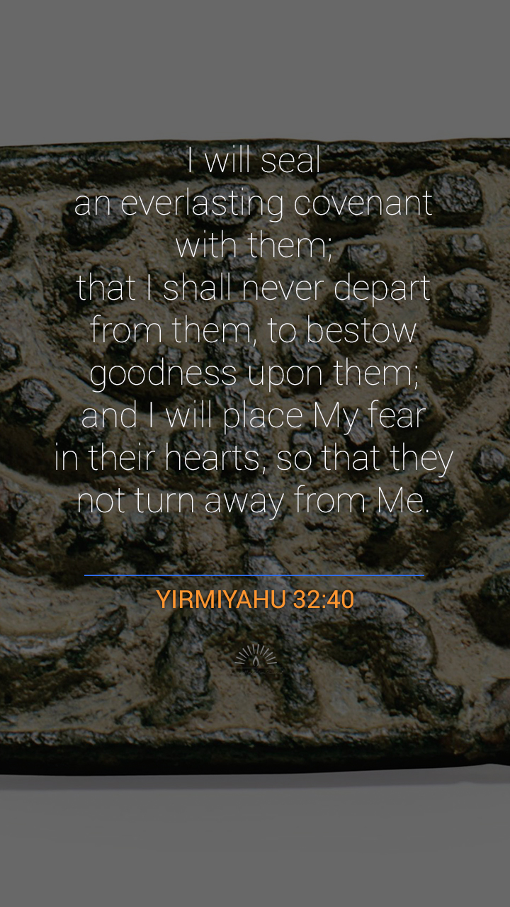 Jeremiah Chapter 32 | Daily Holy Bible Reading