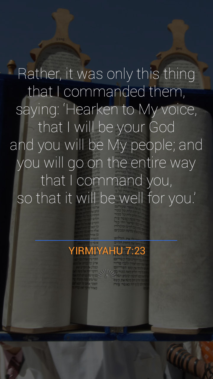 Jeremiah Chapter 7 | Jeremiah When You Think You | One Chapter A Day