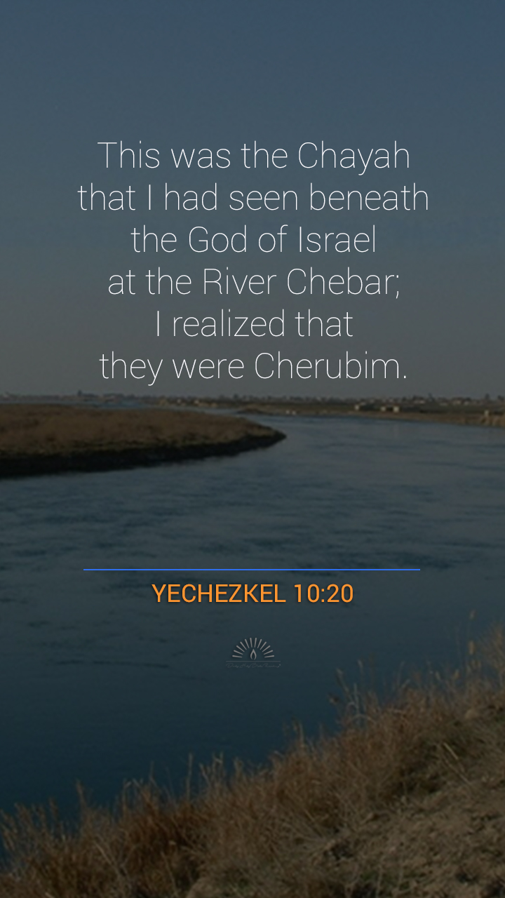 Ezekiel Chapter 10 | Daily Holy Bible Reading