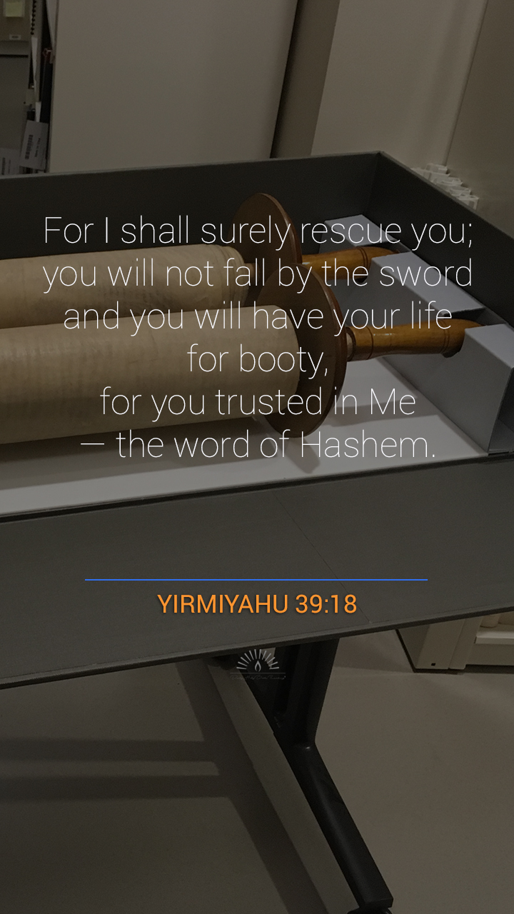 Jeremiah Chapter 39 | Jeremiah Trusting and Not | One Chapter A Day