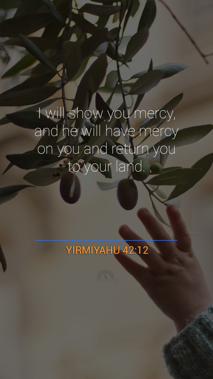 Jeremiah Chapter 42 | Daily Holy Bible Reading