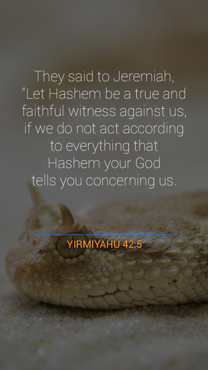 Jeremiah Chapter 42 | Daily Holy Bible Reading