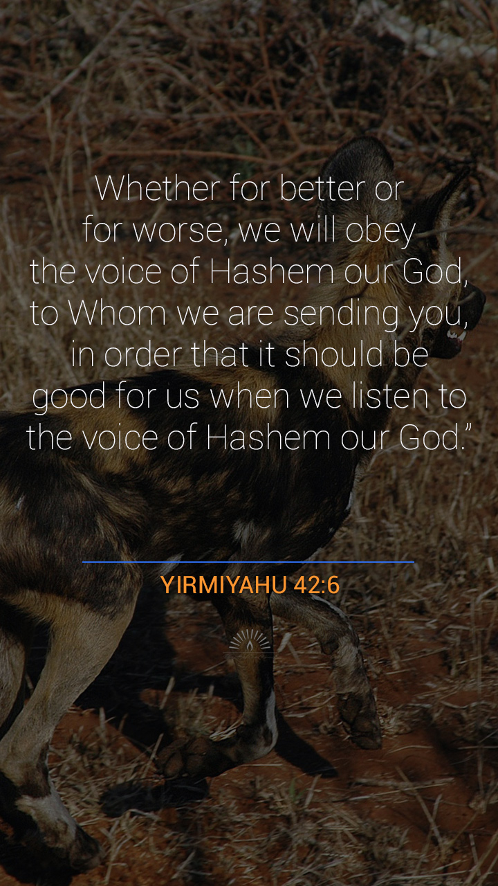 Jeremiah Chapter 42 | Daily Holy Bible Reading