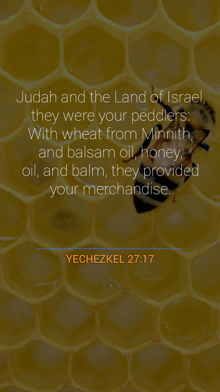 Ezekiel Chapter 27 | Daily Holy Bible Reading