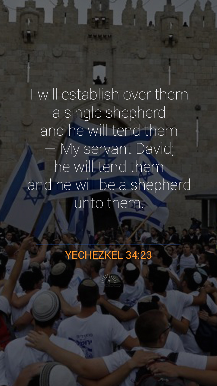 Ezekiel Chapter 34 | Daily Holy Bible Reading