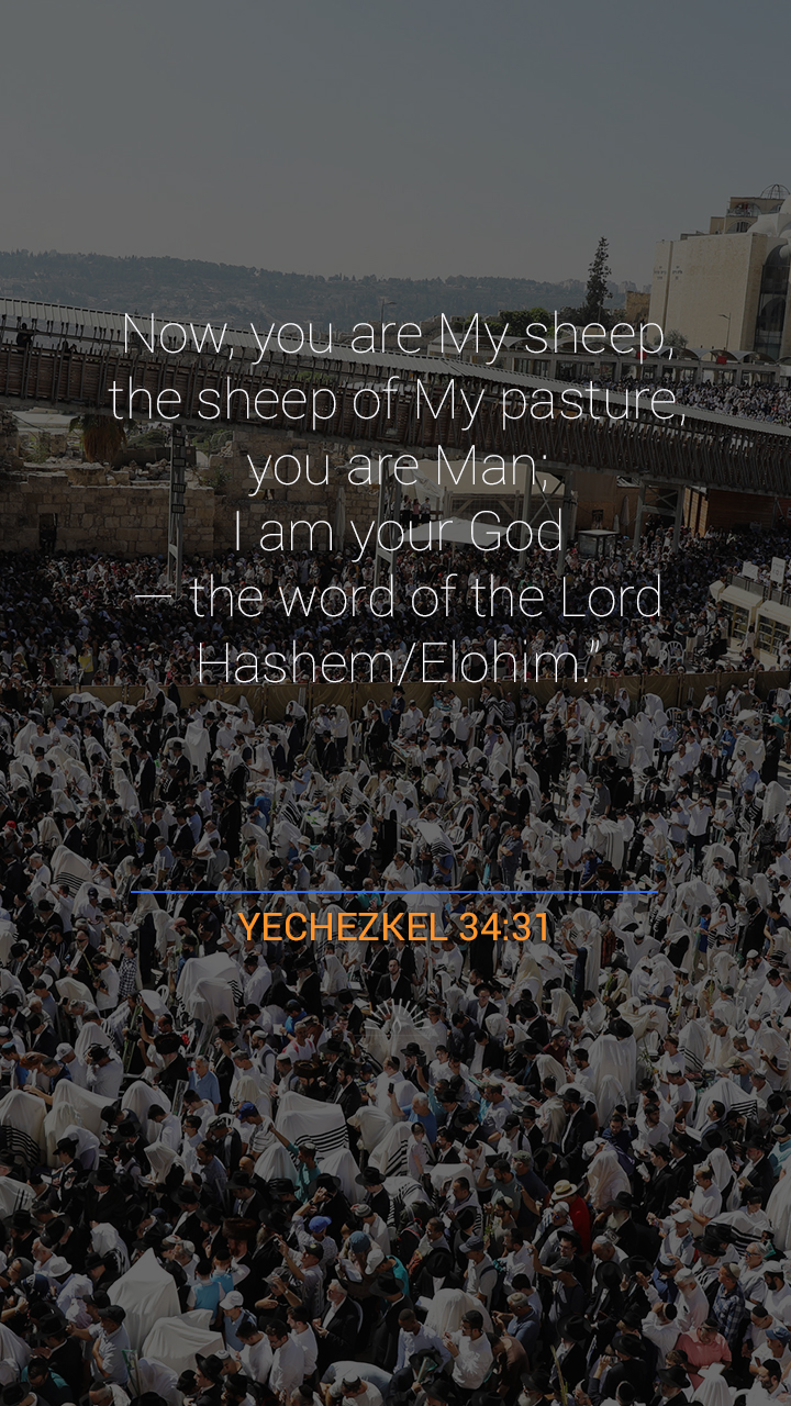 Ezekiel Chapter 34 | Daily Holy Bible Reading
