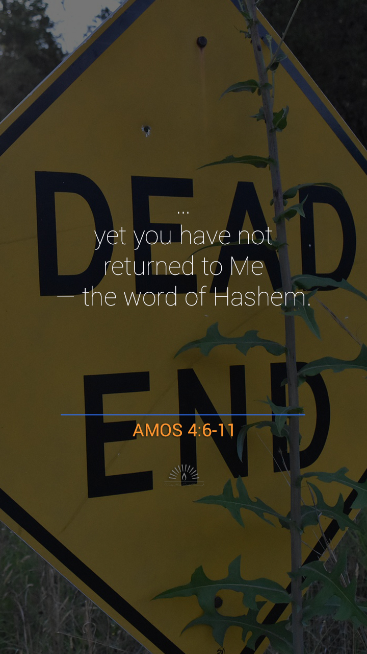 Amos Chapter 4 | Amos How G-d Works in | One Chapter A Day