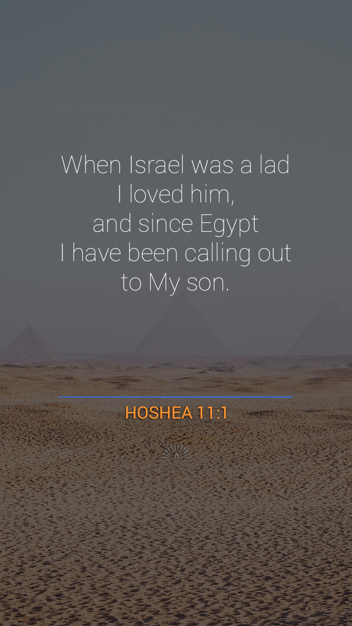 Hosea Daily Holy Bible Reading