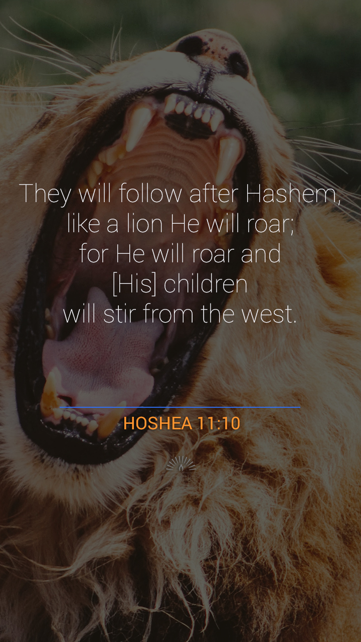 Hosea Chapter 11 | Daily Holy Bible Reading