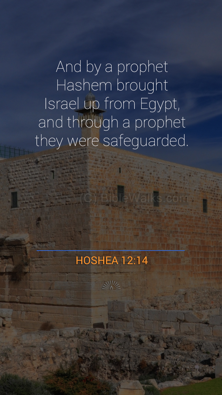 Hosea Chapter 12 | Daily Holy Bible Reading