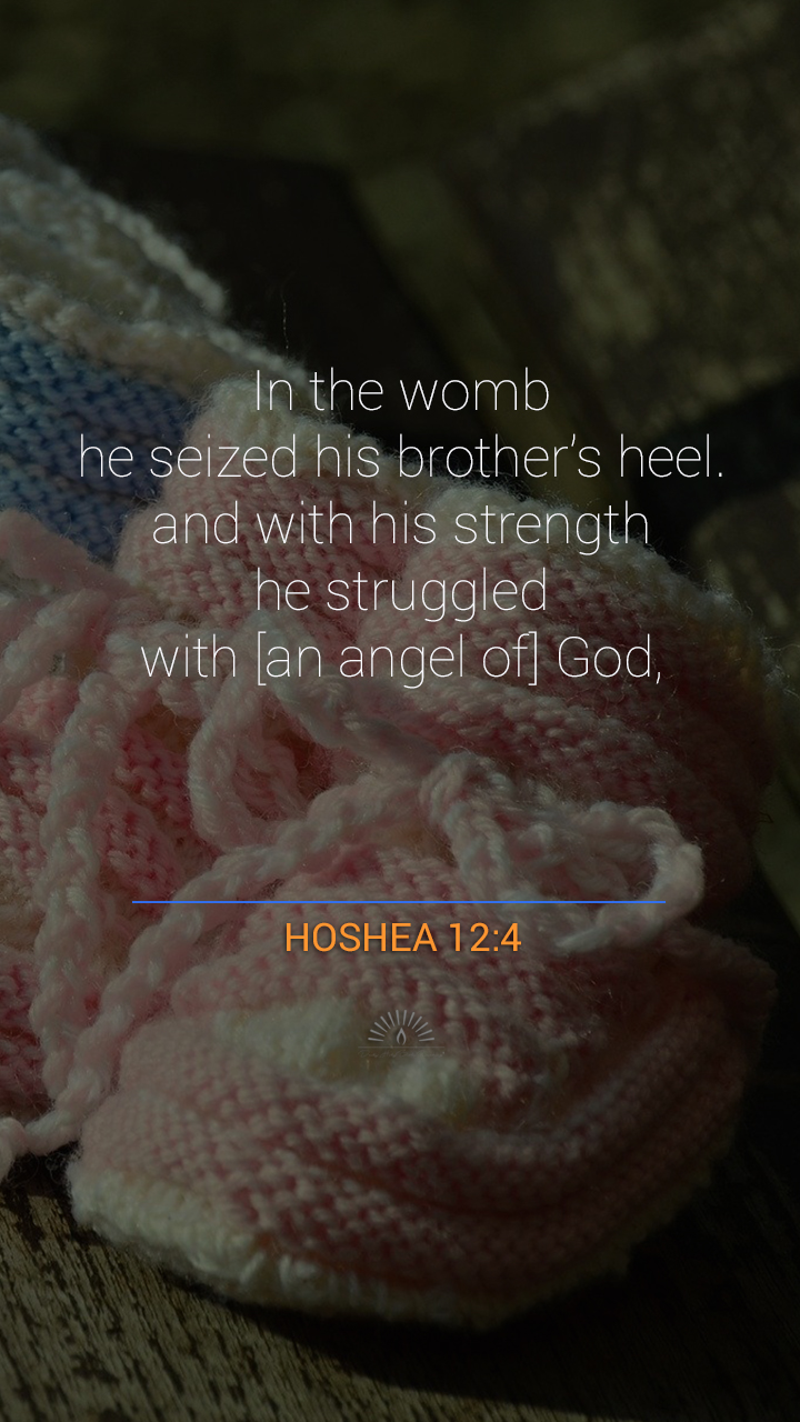 Hosea Chapter 12 | Daily Holy Bible Reading